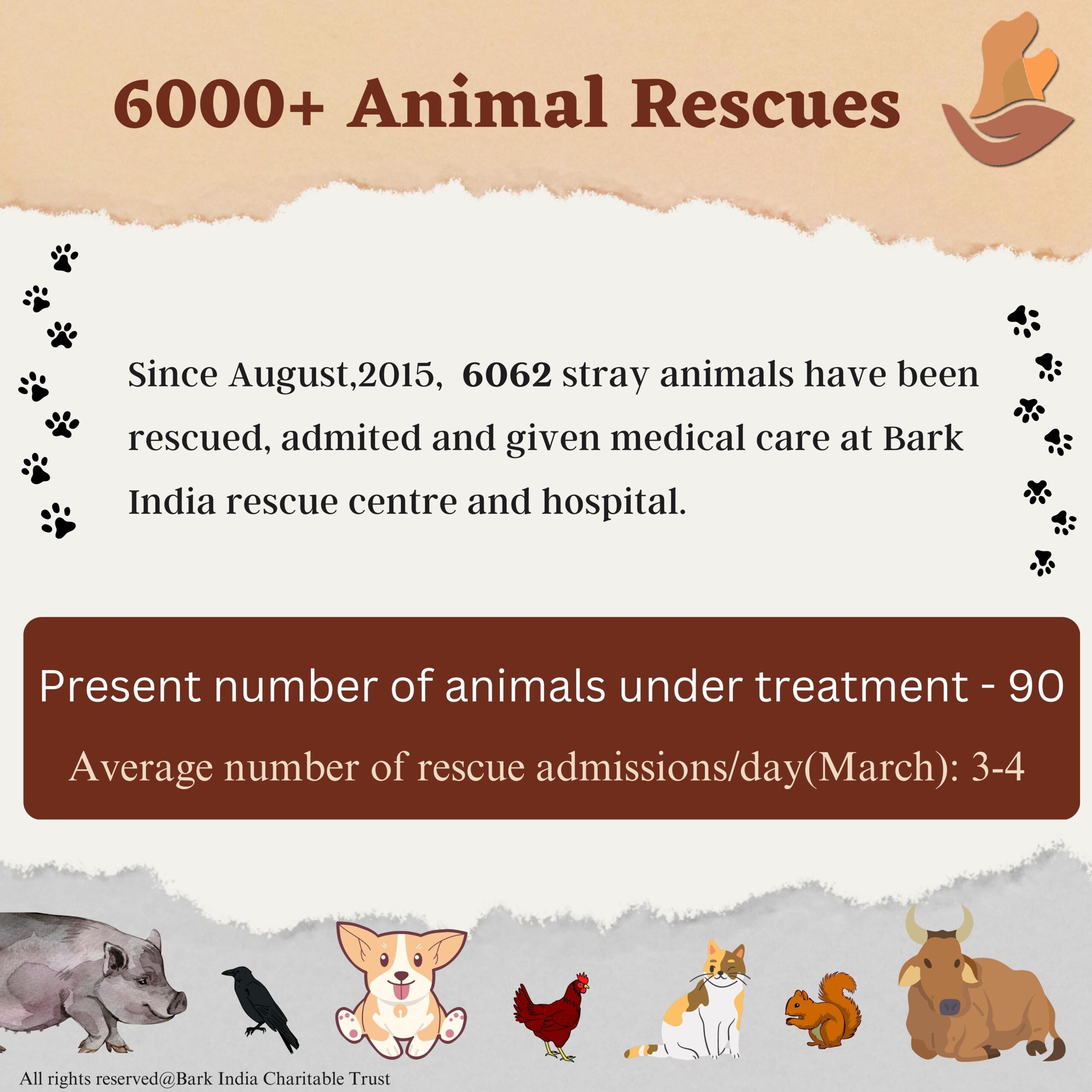 Help Animals in India- 6000+ Rescues - Bark India