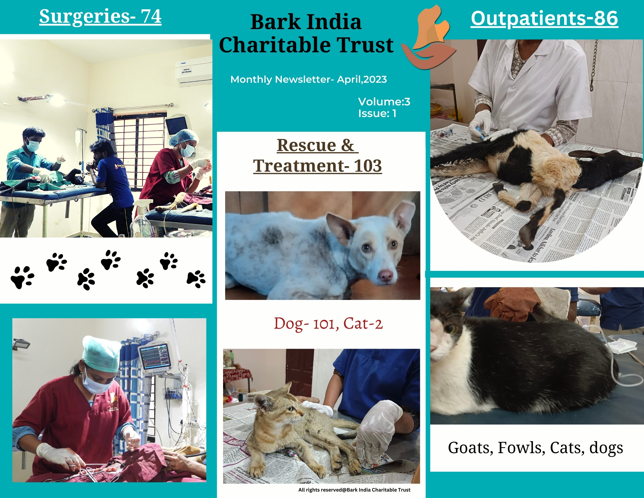 Helping hands for Animals- Support stray animal treatment - Bark India