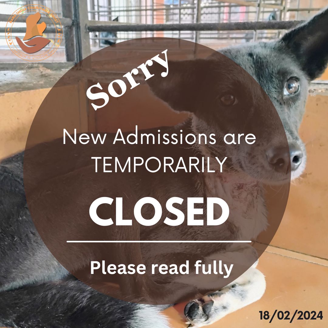 Help us serve the strays better - Bark India